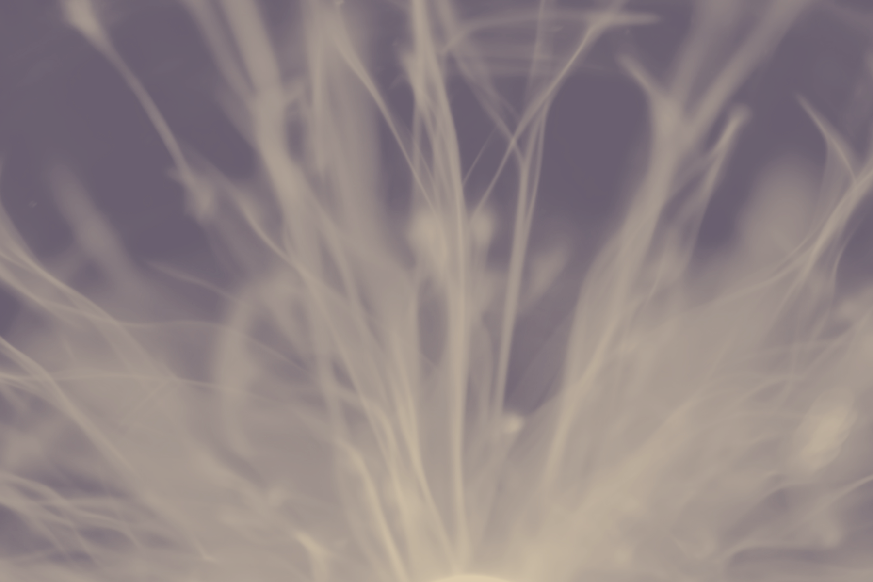 Everything you need to know about NeoGen Plasma - Etre Vous